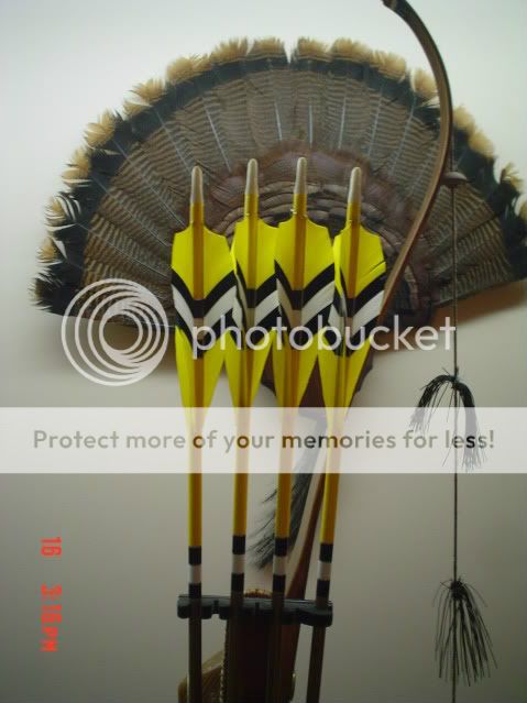 Whats your arrow/broadhead/fletching combo? - Page 2 - Hunting Beast ...